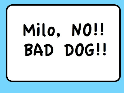 The Daily Theme: Essays: Topic 183: Diddling