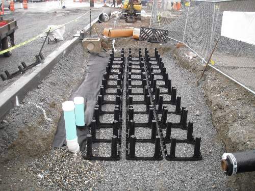 Shoreline Area News: Silva Cells - capturing and filtering water run ...