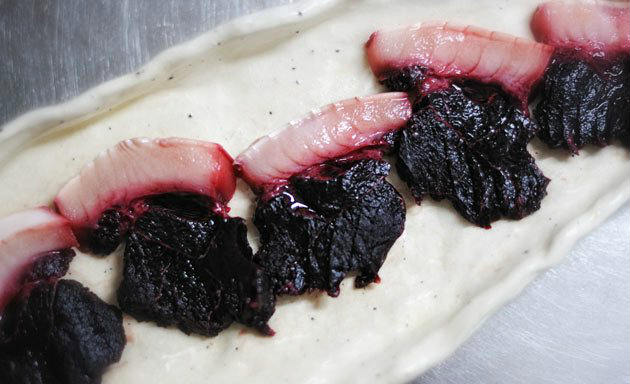 16 Facts about Dolphins - Only Facts