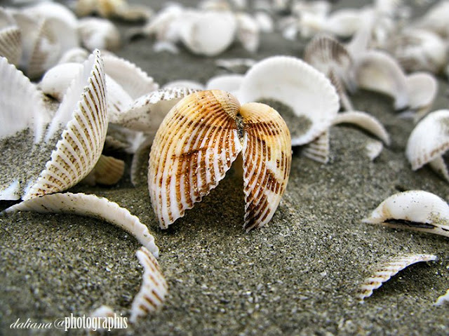 Photographis: Black Sea , Rain and Uriah Heep