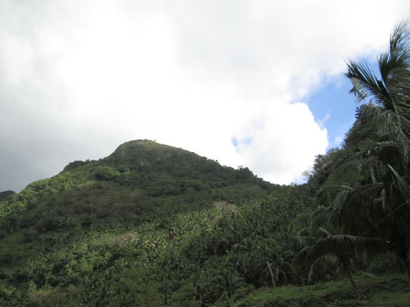 My Travel Blog: Mt. Patong, Lobo, Batangas