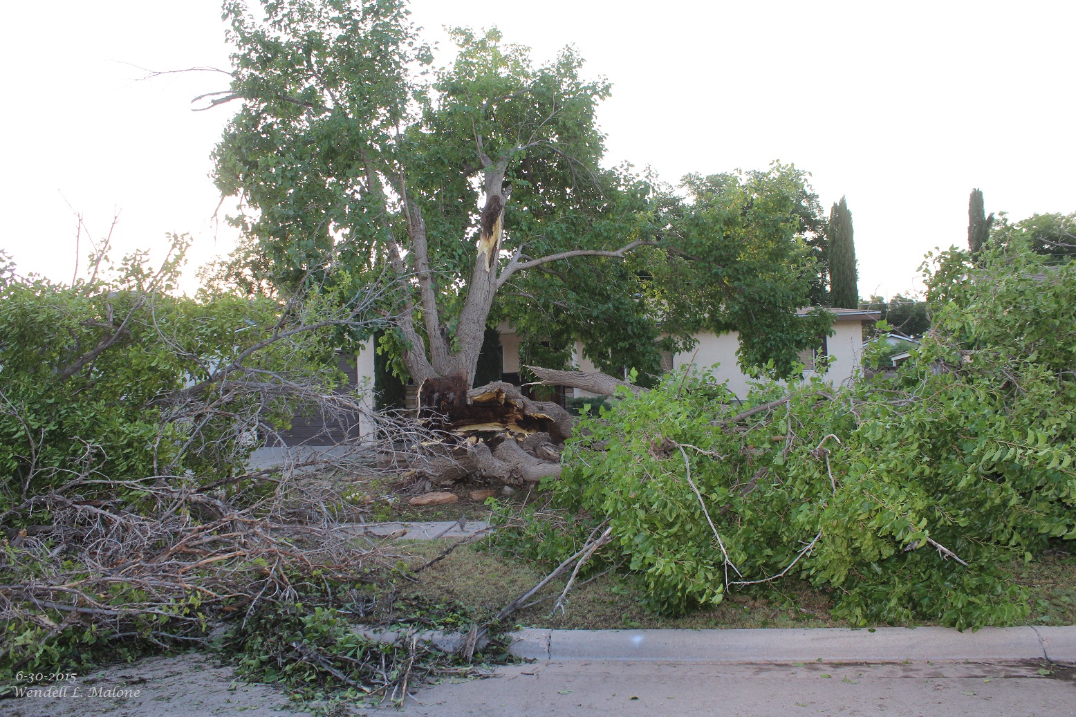 Wet Microburst Causes Tree Damage In Carlsbad, NM Monday 6-29-2015.