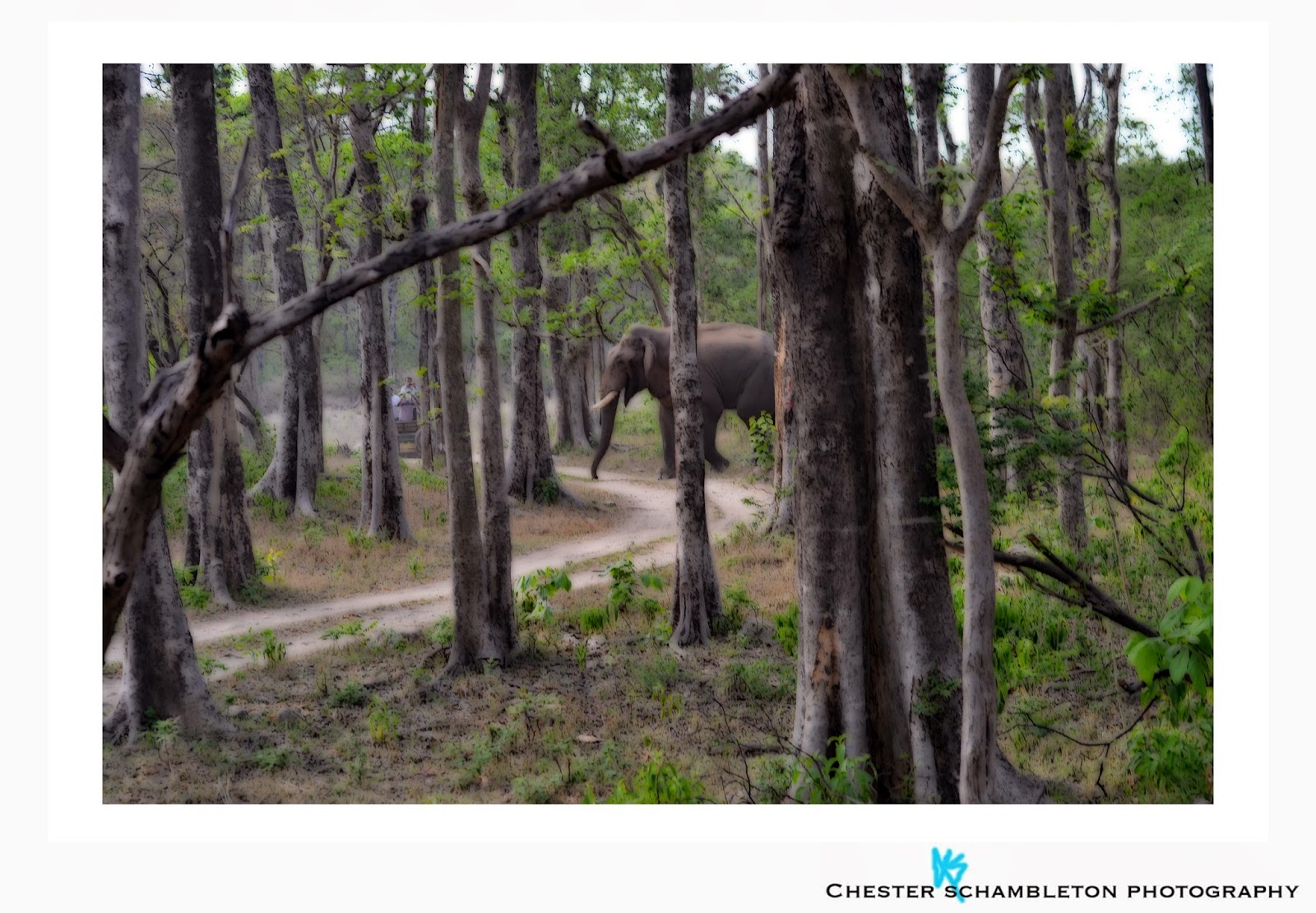 Both Hands Emerge as the Supreme Salvator: Rishikesh, India part 2 and ...