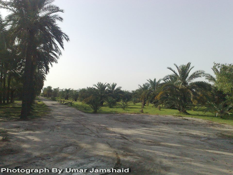Jhang Sadar Pictures ~ Jhang Sadar