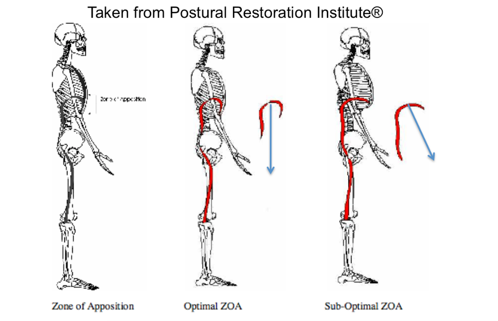 Using a Balloon to Retain Breathing Mechanics | Modern Manual Therapy ...