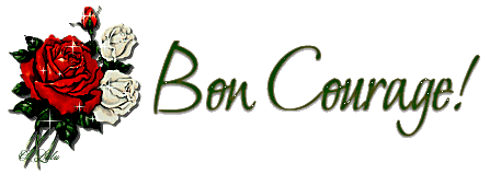 Professeur Mayara Linhares: Le subjonctif et ses expressions, les ...