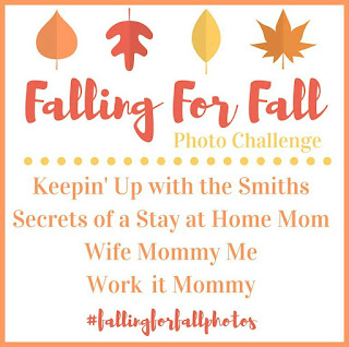 Work it Mommy: Falling for Fall Photo Challenge
