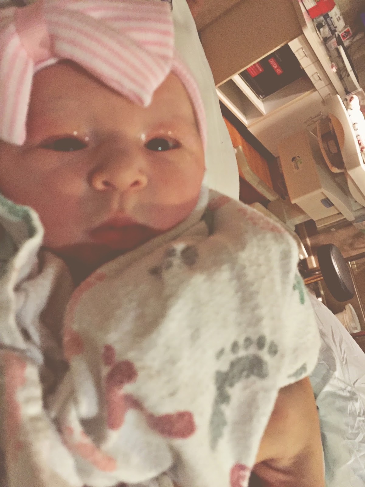 Celebrate Always: Presley Lynn Halbert