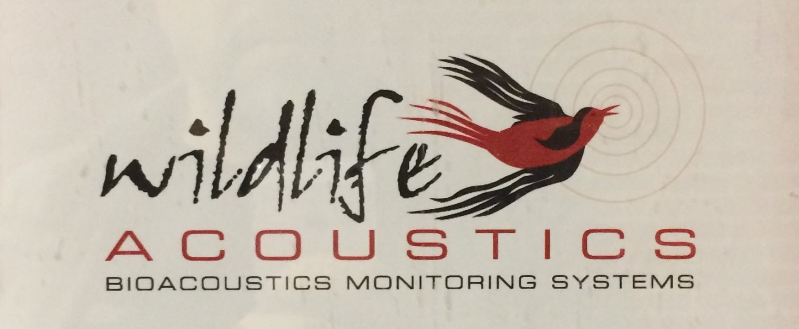 Maynard Life Outdoors and Hidden History of Maynard: Wildlife Acoustics