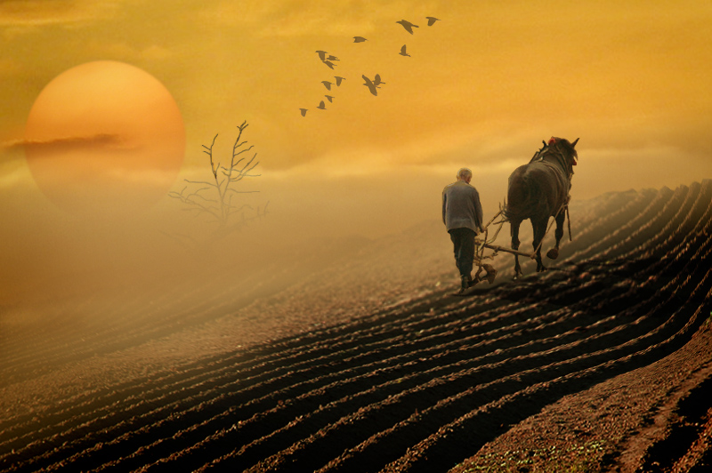 Poems about John Clare: Plowman by Sidney Keyes