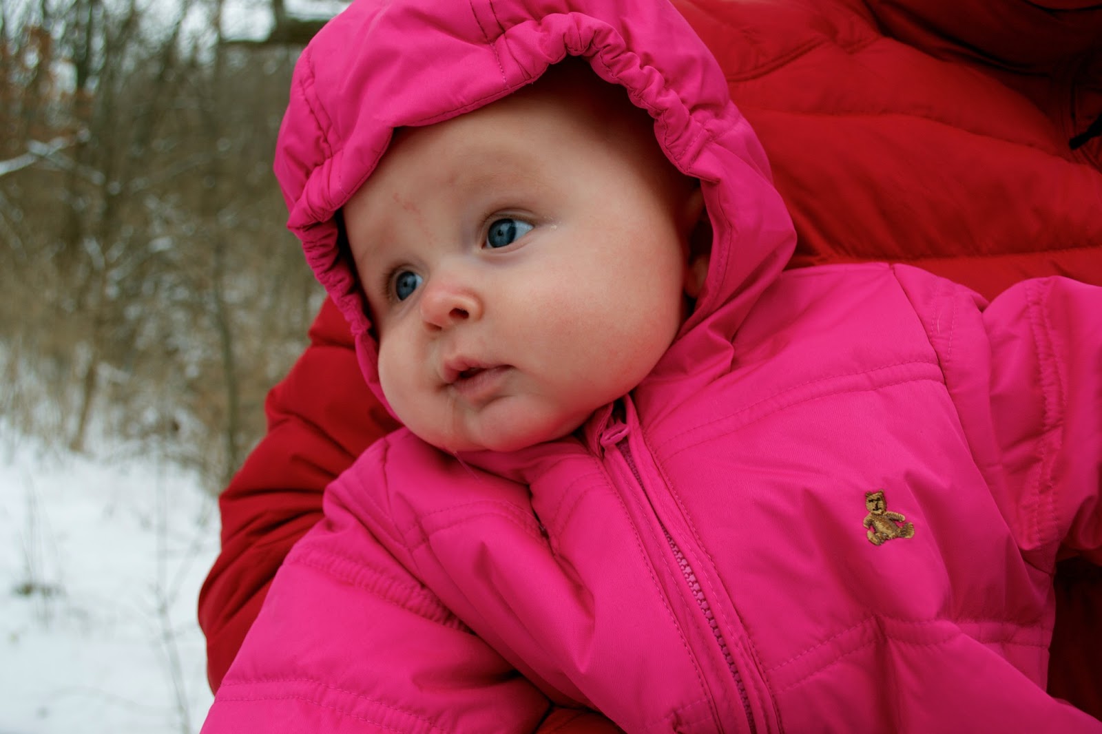 In this JOYFUL life: Snow Babies!