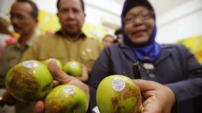 Dua Jenis Apel Import Dilarang Dipasarkan di Indonesia.