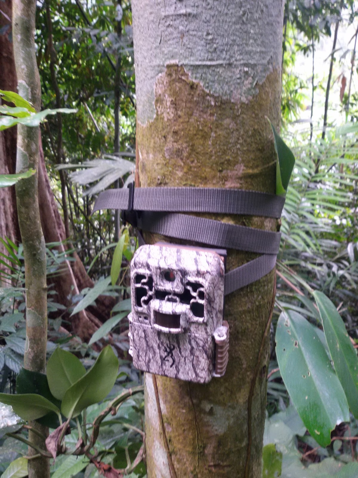 .: Camera Trap : alternatif solusi pengamanan kawasan hutan