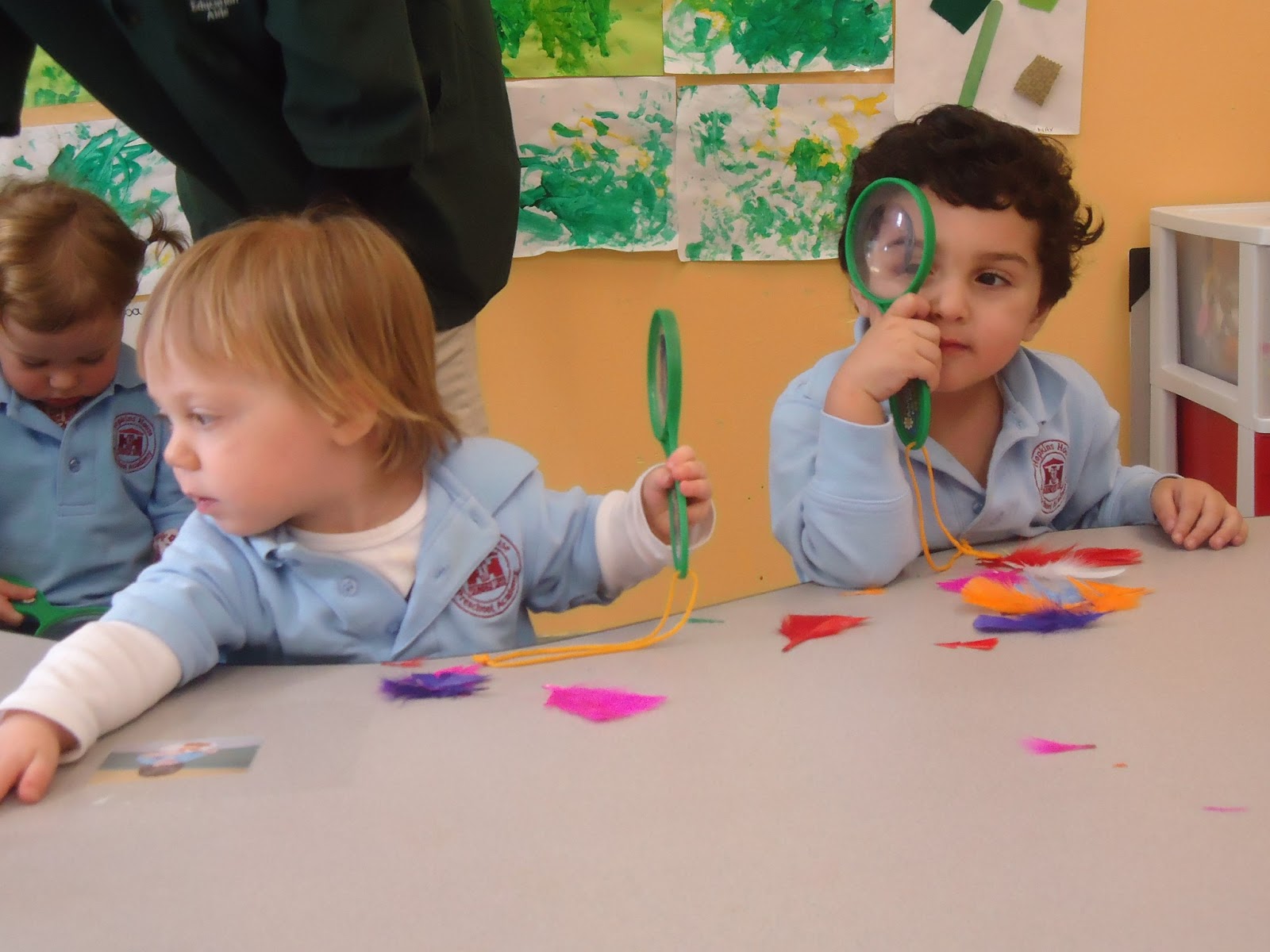 Welcome to the HH Toddler Classroom!: Exploring Feathers with a ...