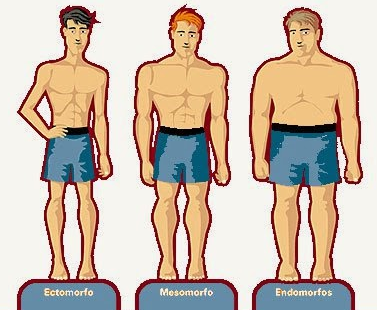 NUTRICIÓN Y EJERCICIO PARA ESTAR SANOS : Composición corporal