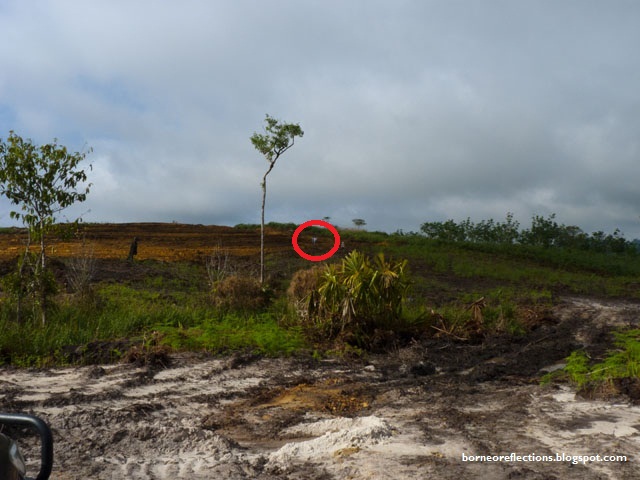 Nabawan - JungleKey.in Image