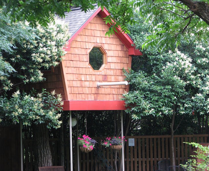 Plano Prairie Garden: For the Birds