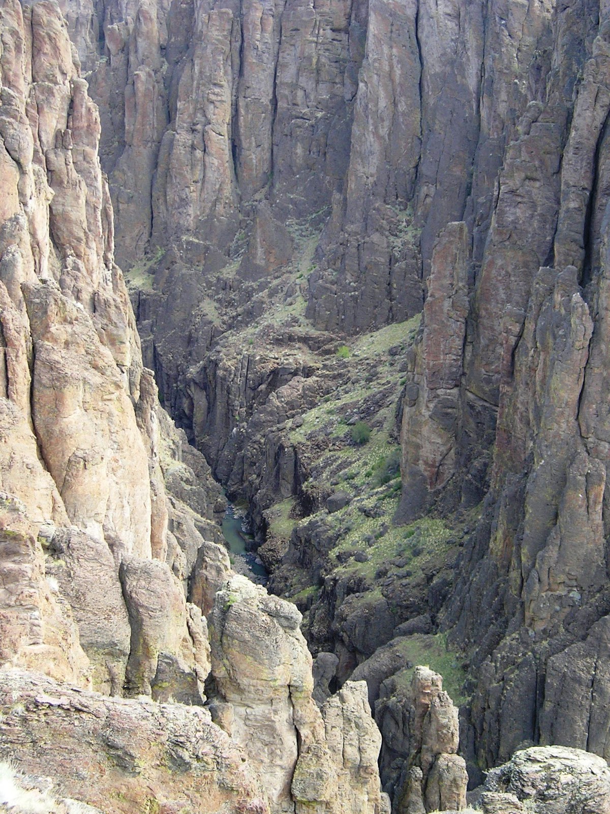 Birding Is Fun!: Three Forks of the Owyhee River