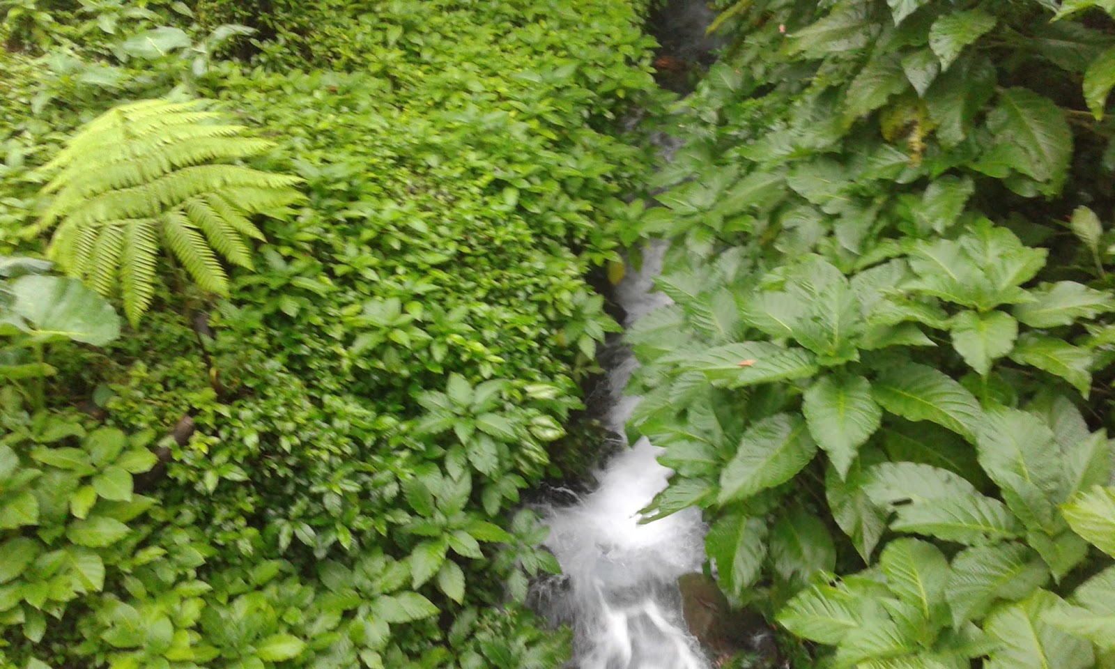 Tuburan sa Guintubdan (Spring water in Guintubdan)