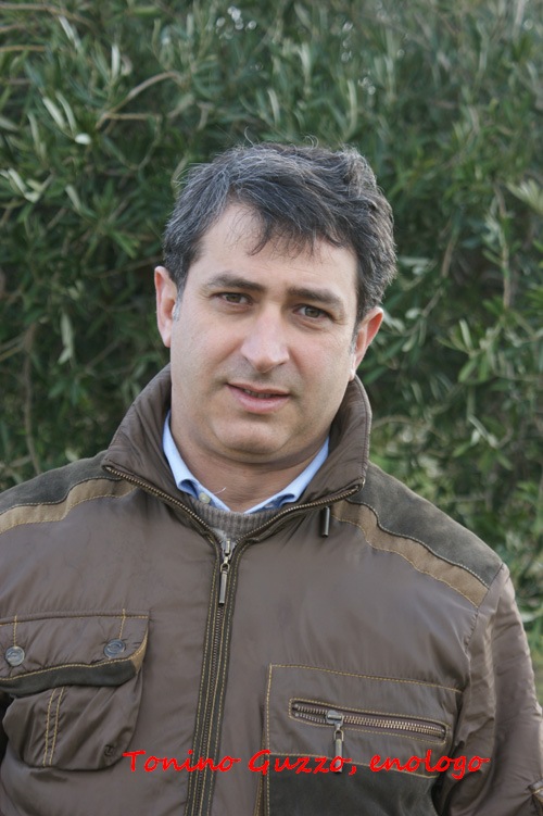 Un bianco sorprendente - Il Gusto del vino - Winetaste