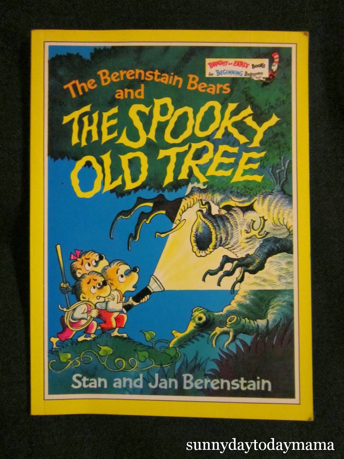 sunnydaytodaymama: 12 Halloween Picture Books for Children