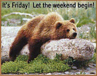 Mr. Cruiser's Notes: A Relaxful Friday