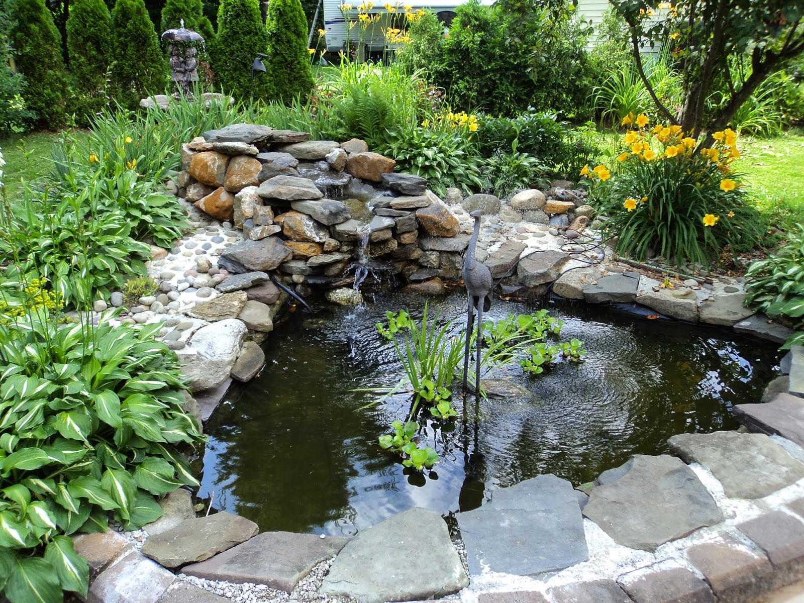 Backyard and Pond Project | Redo It Yourself Inspirations : Backyard ...