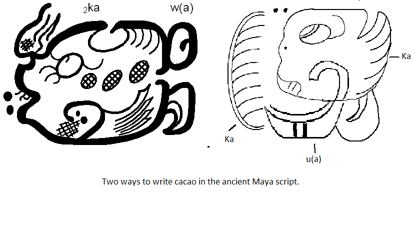 Ancient Maya Life: Cacao (Chocolate)