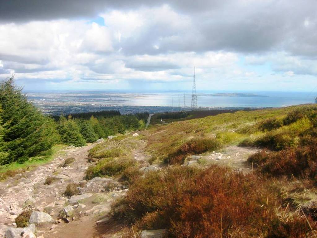 Handmade by Amo'r, Ireland: Inspirations II. Ticknock Forest & Hill walk