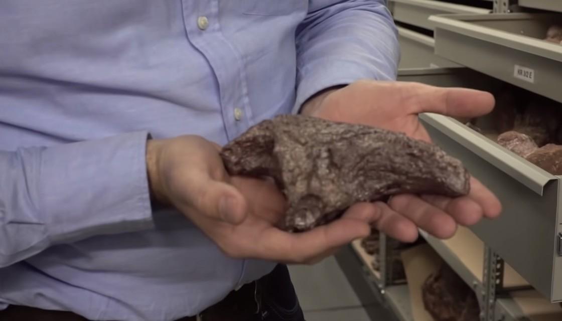 'First true giant': 12-tonne Jurassic dinosaur discovered in South ...