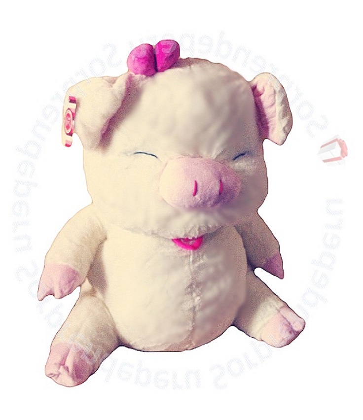 Chanchita Cerdita Gigante