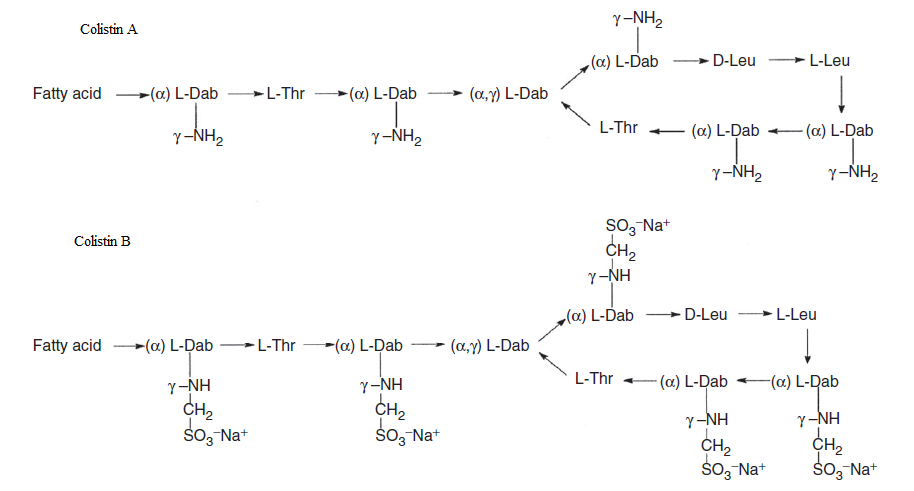 Global Antibiotic Resistance Alert: MCR-1 in Plasmid