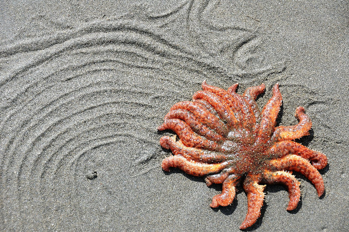 Haida Gwaii Tourism: Birthdays and Beaches on Haida Gwaii