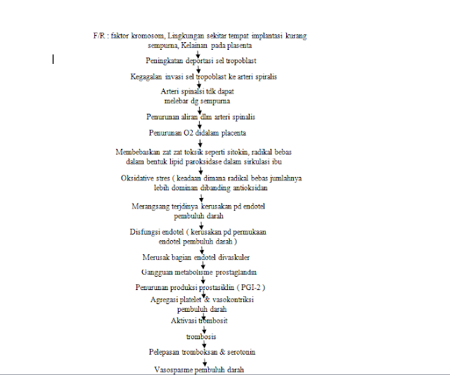 Seputar Dunia Keperawatan: PATHWAY ABORTUS & ANEMIA
