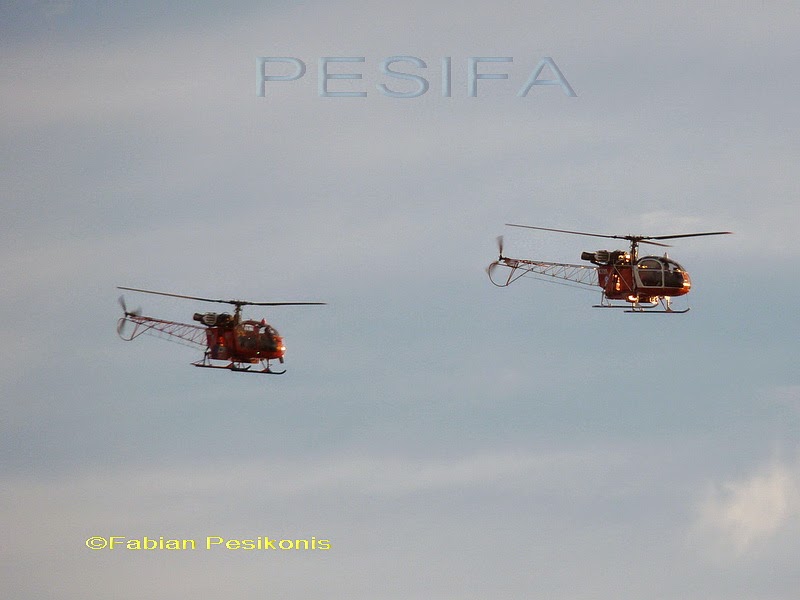 Helicopteros: H-63 en la EAM