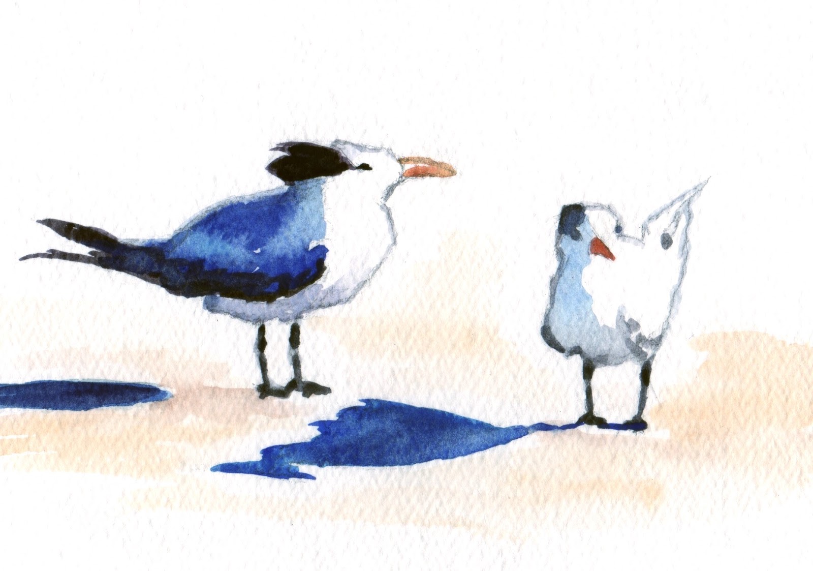 Seascape Artists International: Terns, 5x7 Watercolor Painting, Birds ...