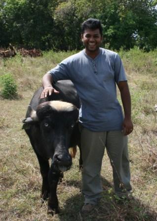 THE JUNGLE GRAPEVINE: Updates from the Field - Sri Lanka Wildlife ...