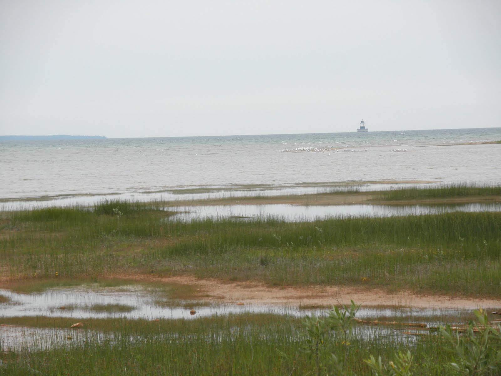Tom Cook's Nature Travels: On the Shores of Lake Huron