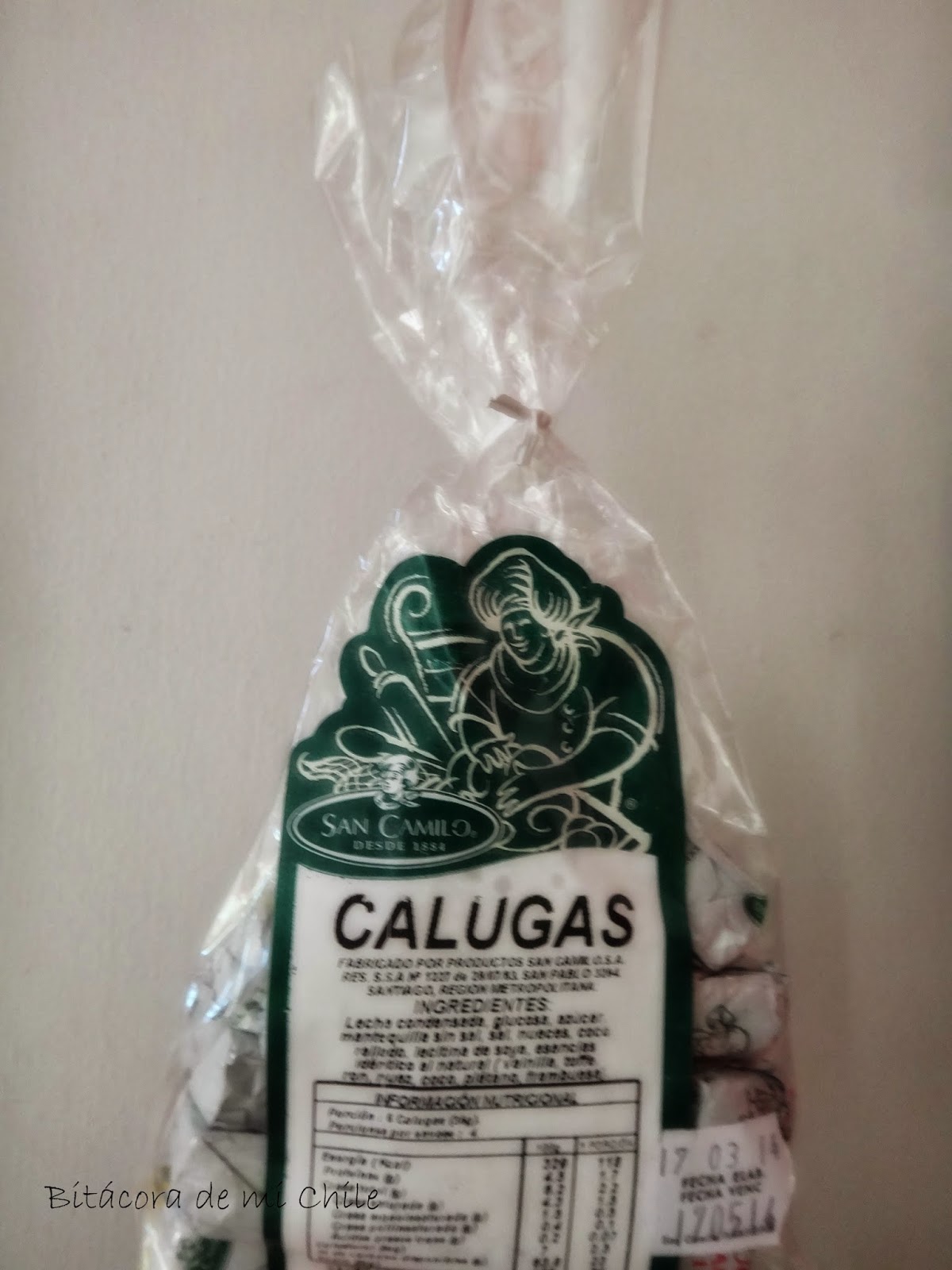Bitacora de mi Chile: Calugas de leche; San Camilo