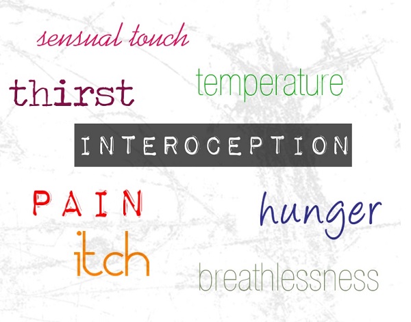 The Autism & Low-Incidence Coaching Team: Regulation Rendezvous ...