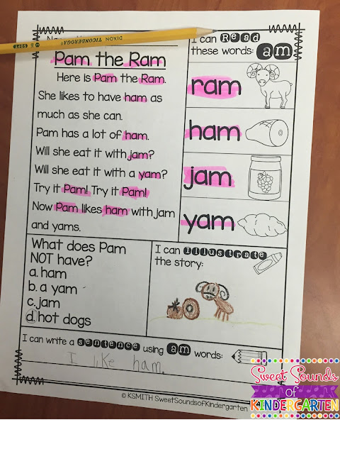 The Primary Pack: Building Confident Emergent Readers!