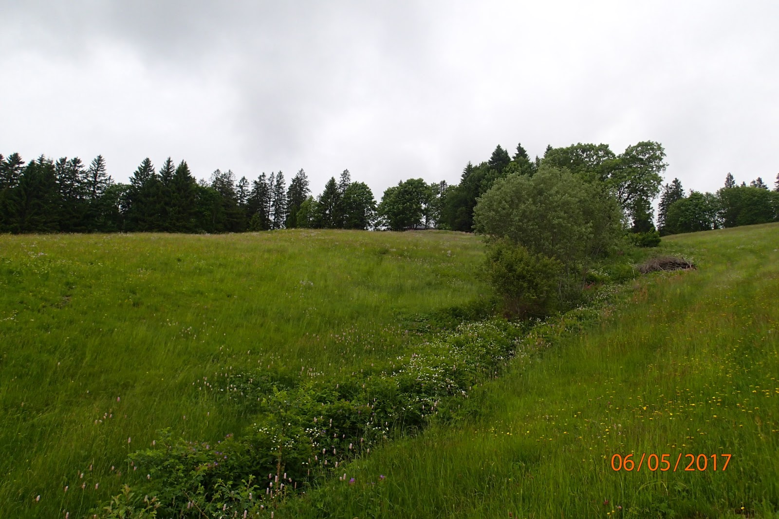 After Nature: Our visit to the Heidegger cabin (Heidegger's hut)