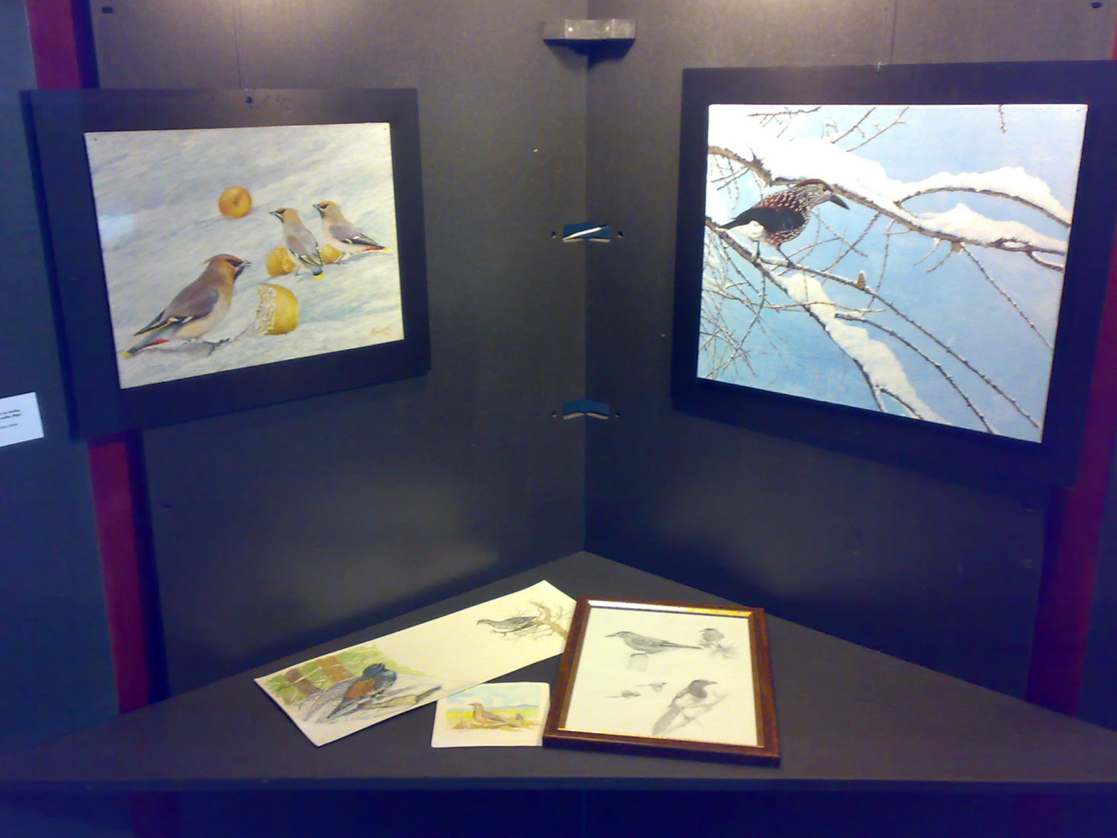 Alessandro Sacchetti - Wildlife Painter: La tappa della mostra "in ...