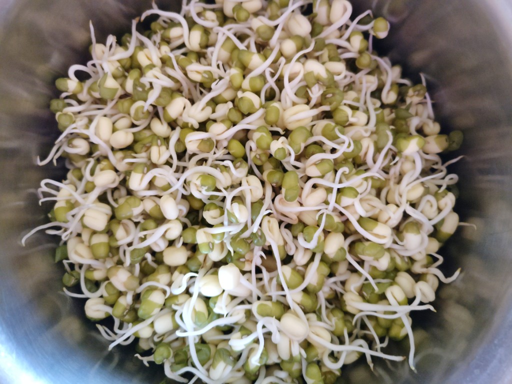 Veg Indian Cooking: Sprouted Mung Bean Salad