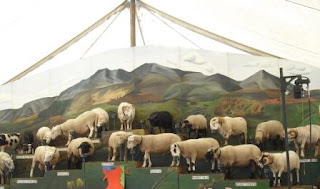 ~ Fabrikant ~: Royal Welsh Show