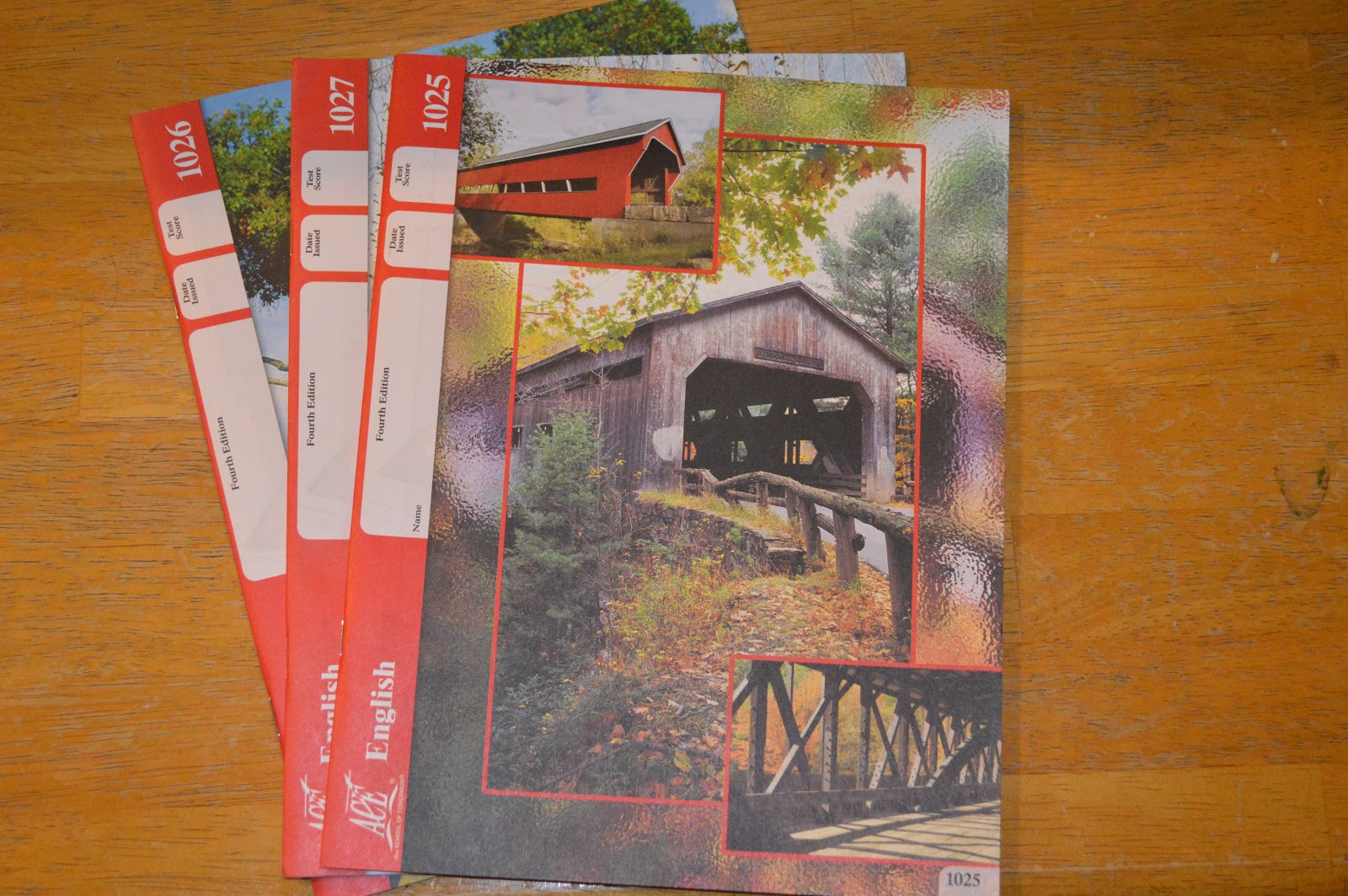 Raani Starnes: Why I Love A.C.E. School of Tomorrow Curriculum