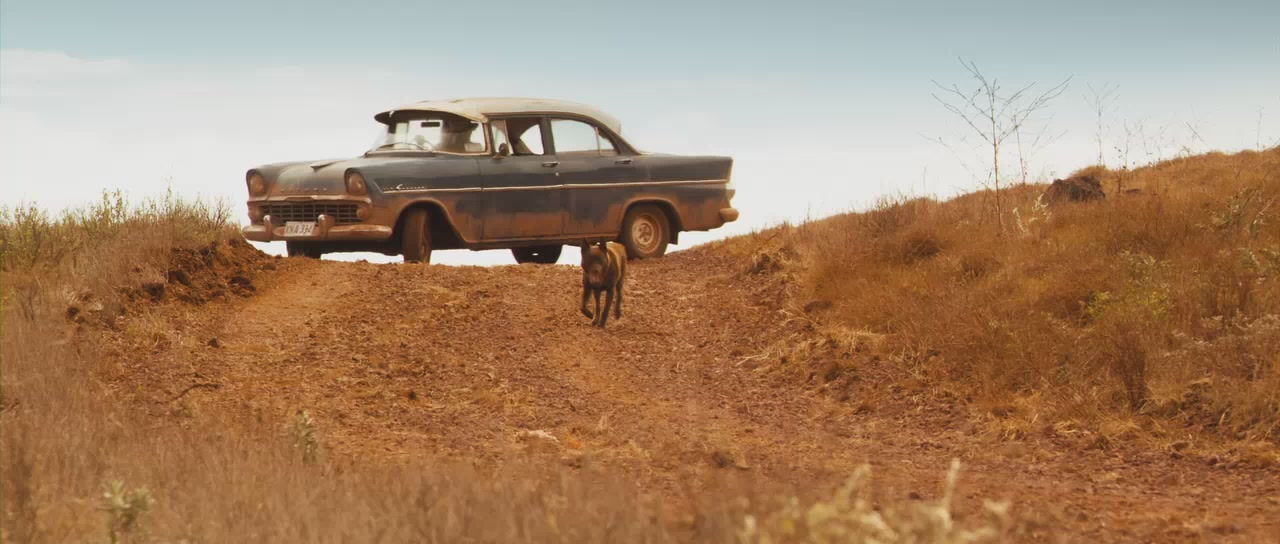 Vintage Pearl: The Review - Red Dog