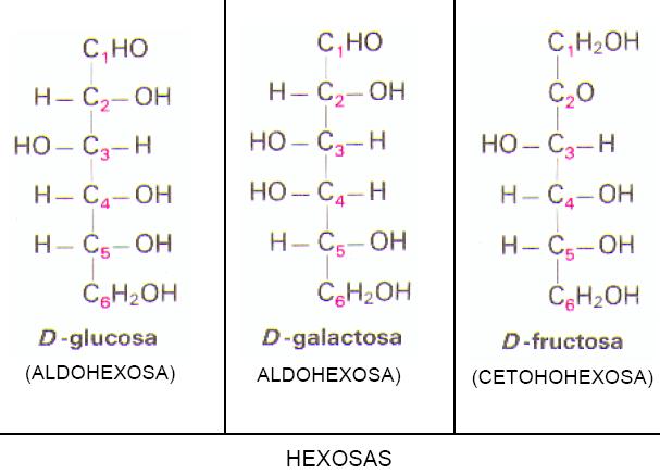Hexosas