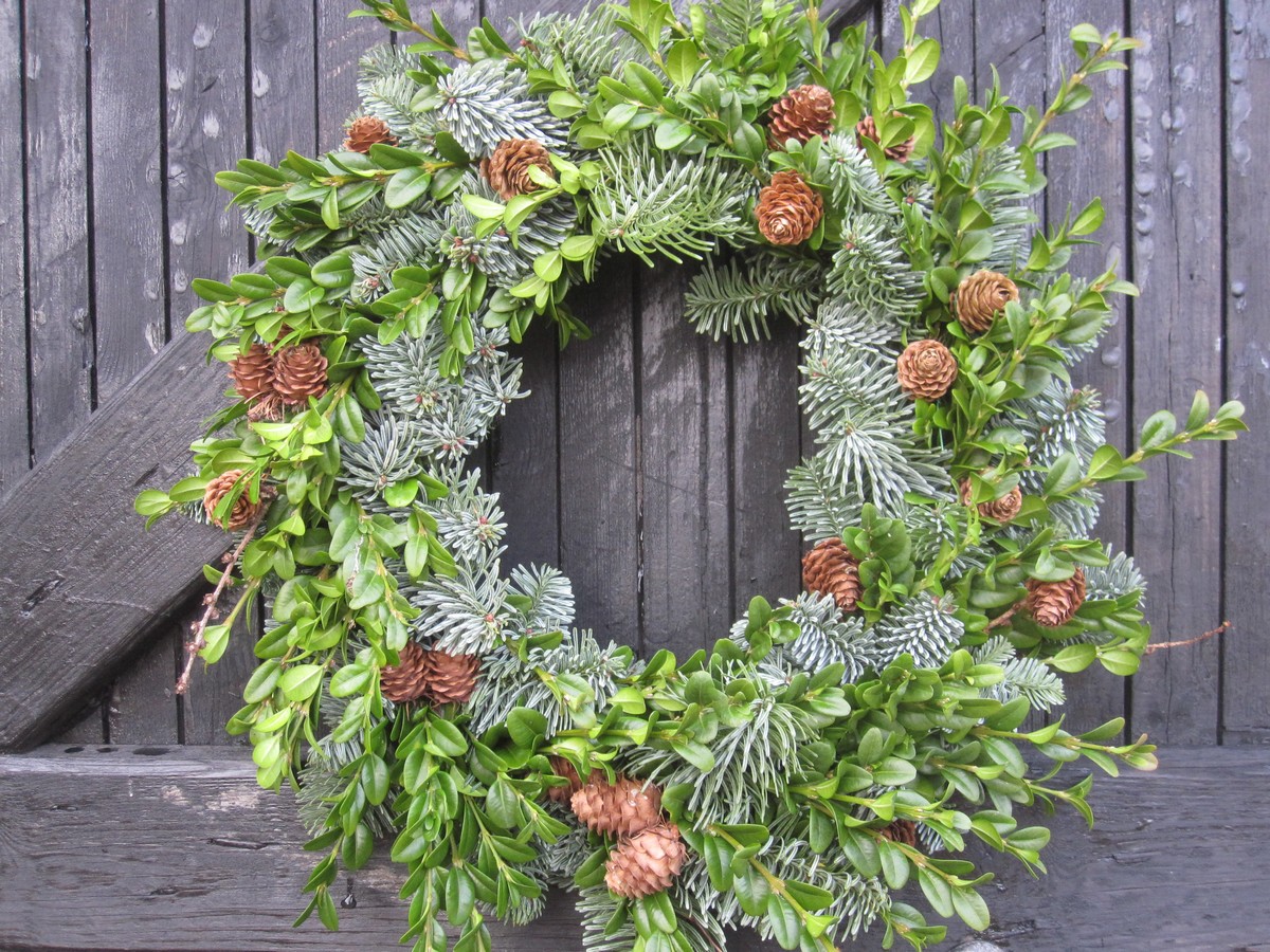 Ingeborg´s Haveblog: KRANSE KRÆS