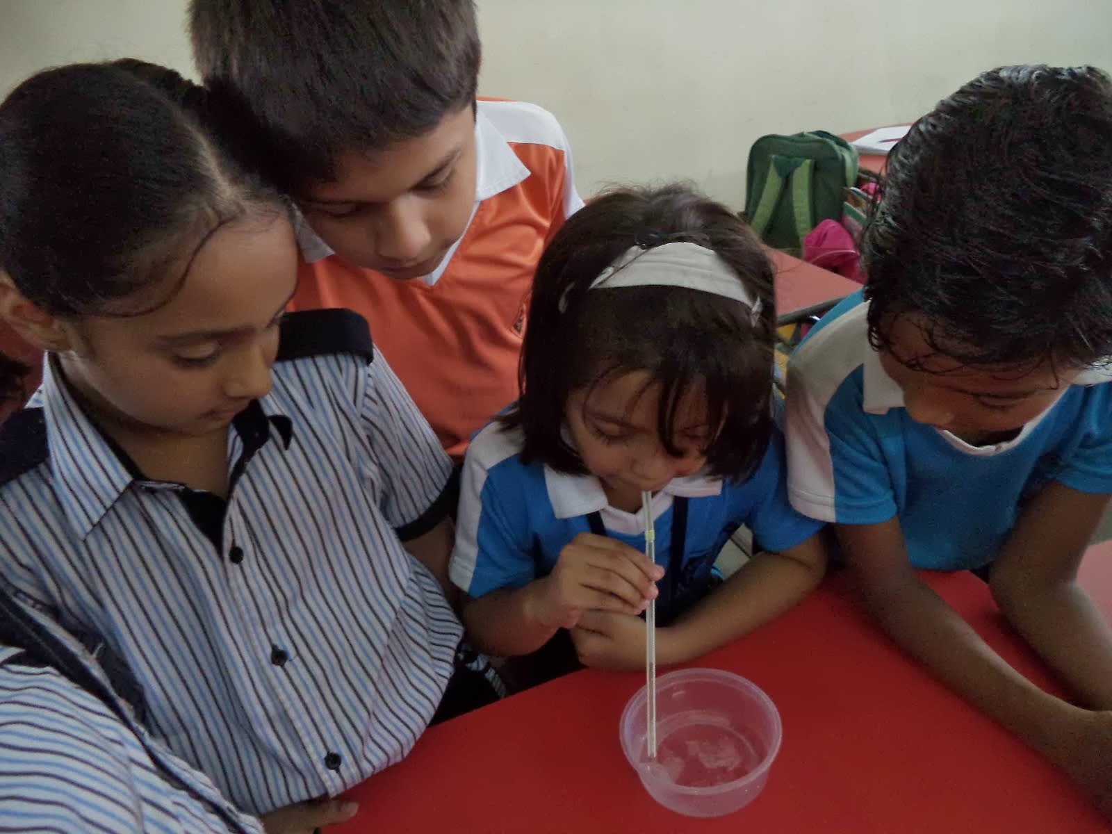 The Rustomjee Cambridge Diaries: Grade 3 Science Experiments with Ice